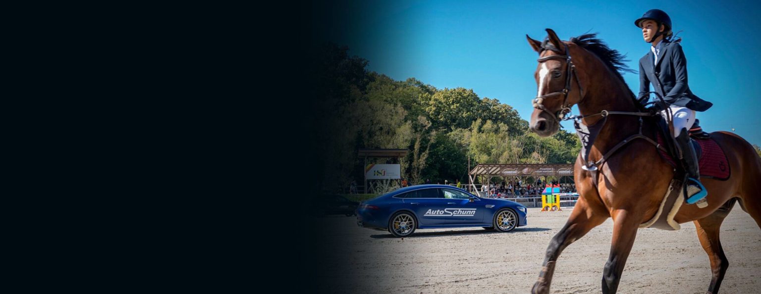 Valorile companiei | Auto Schunn